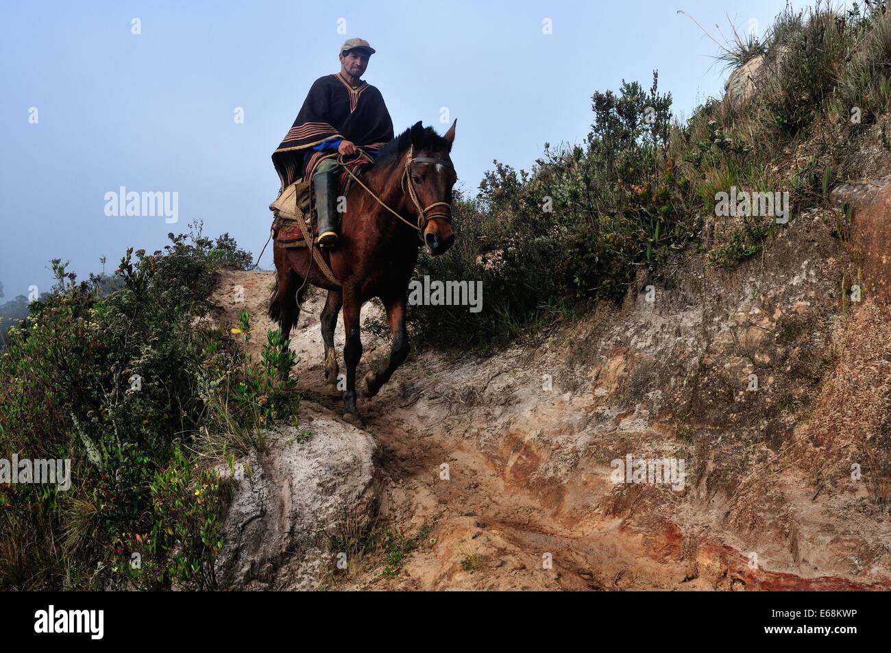 Route for collecting potatoes in Cruzpata - CHACHAPOYAS . Department of ...