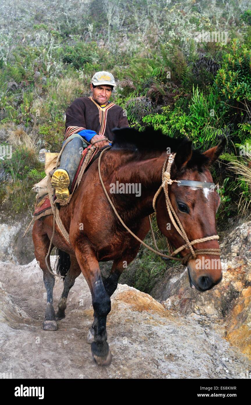 Route for collecting potatoes in Cruzpata - CHACHAPOYAS . Department of ...