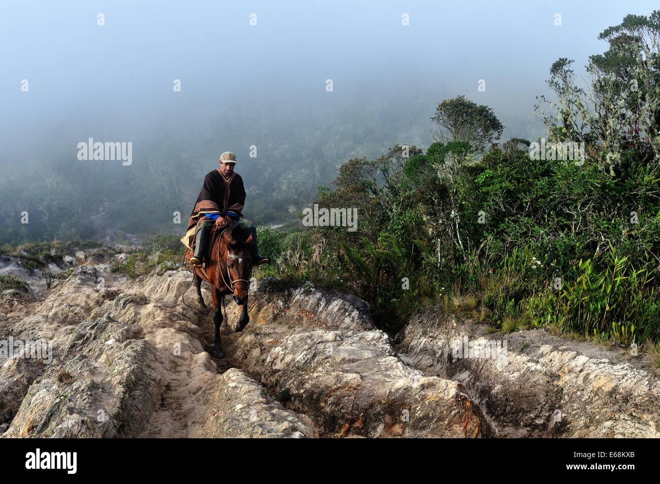 Route for collecting potatoes in Cruzpata - CHACHAPOYAS . Department of ...