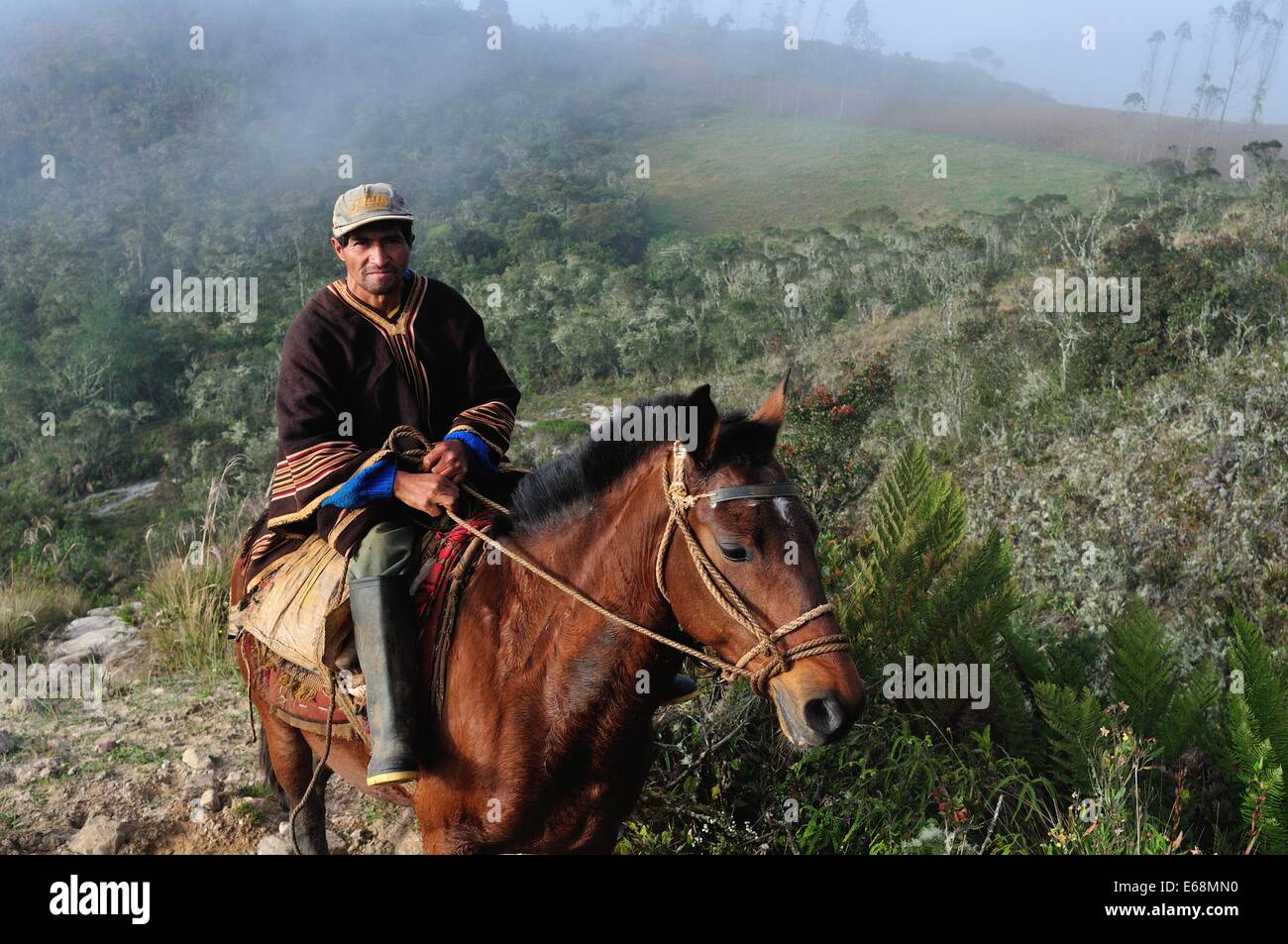 Route for collecting potatoes in Cruzpata - CHACHAPOYAS . Department of ...