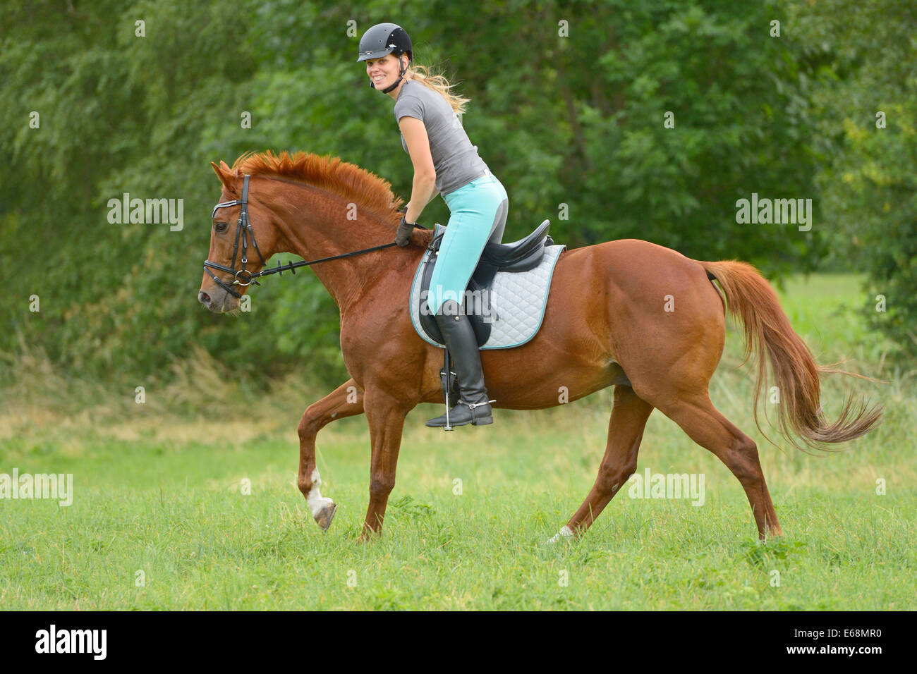 Riding rider canter cantering hi-res stock photography and images - Alamy
