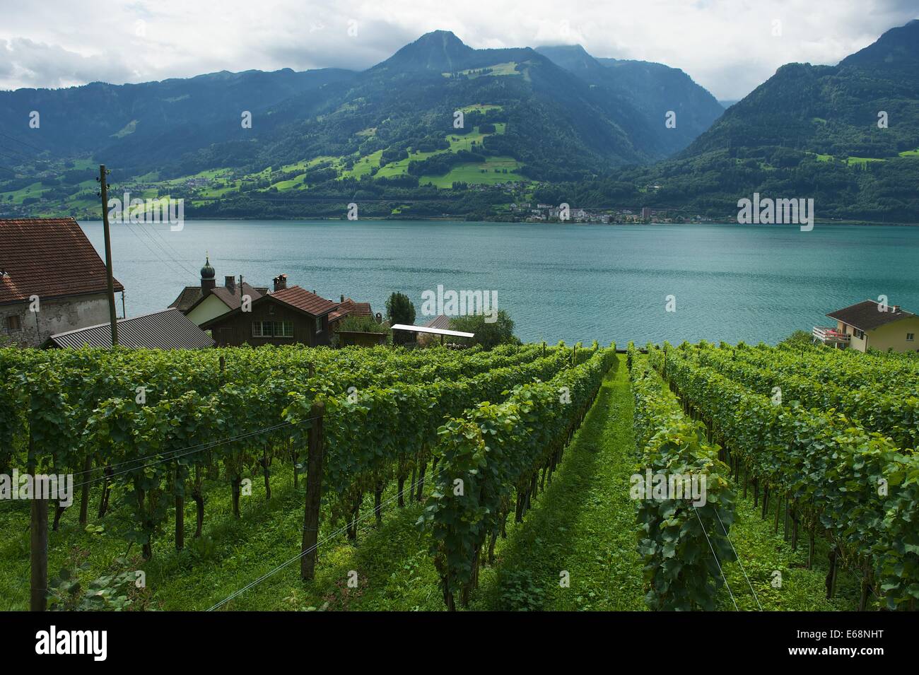 Lake Walen High Resolution Stock Photography and Images - Alamy