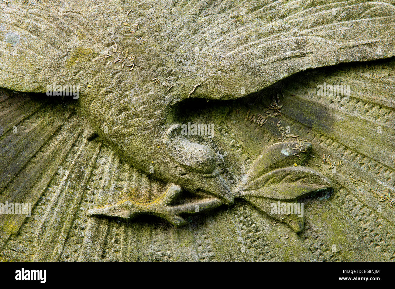 Dove of peace gravestone detail, Flyford Flavell, Worcestershire ...