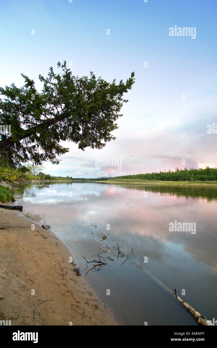 northern Siberian river in summer Stock Photo - Alamy