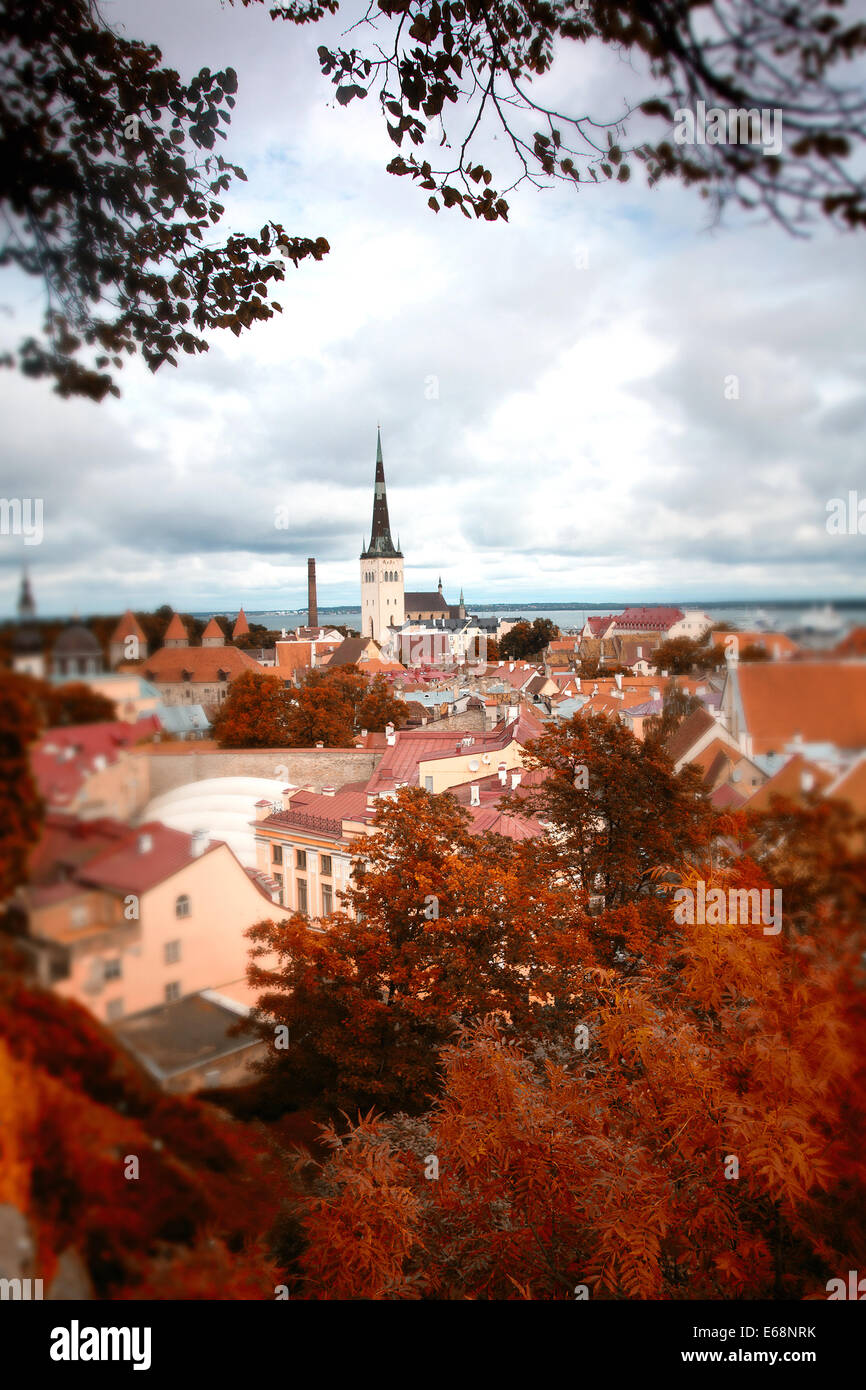 Tallinn autumn tilt-shift Stock Photo - Alamy