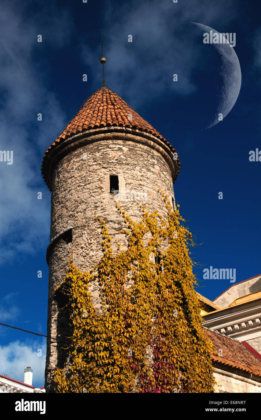 Tallinn towers fall Stock Photo - Alamy