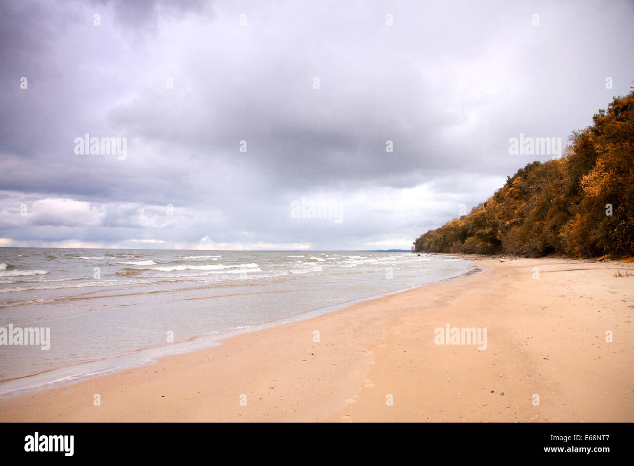 autumn beach of the Baltic Sea Stock Photo - Alamy