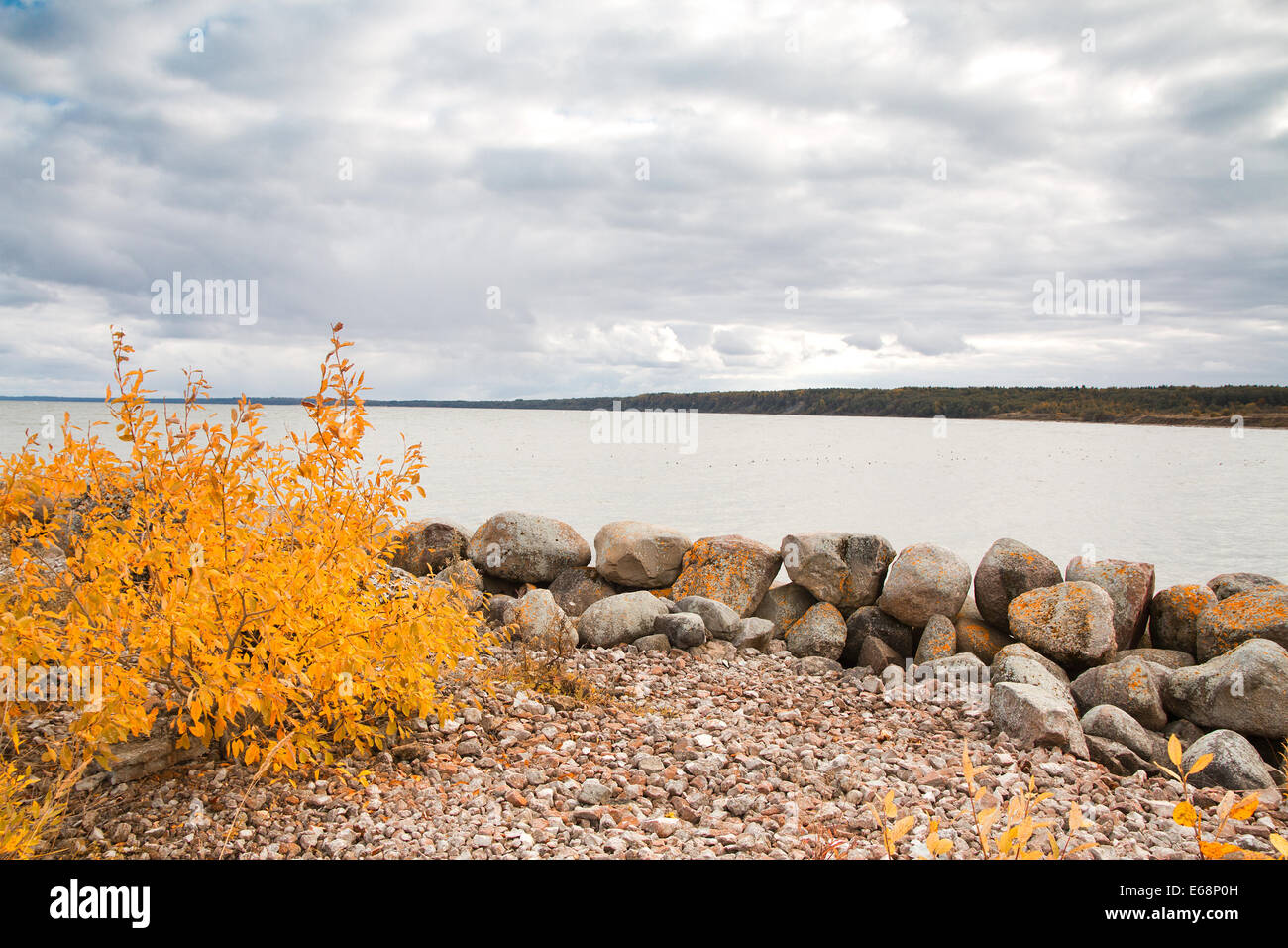 Baltic Sea Gulf of Finland in the autumn Stock Photo - Alamy