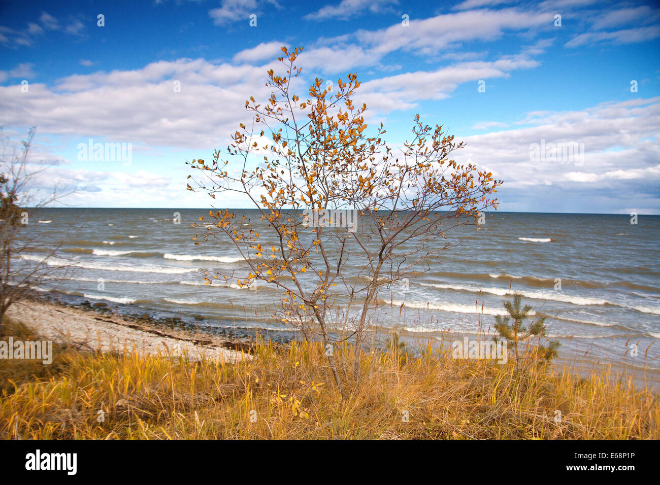 Baltic adventure hi-res stock photography and images - Alamy