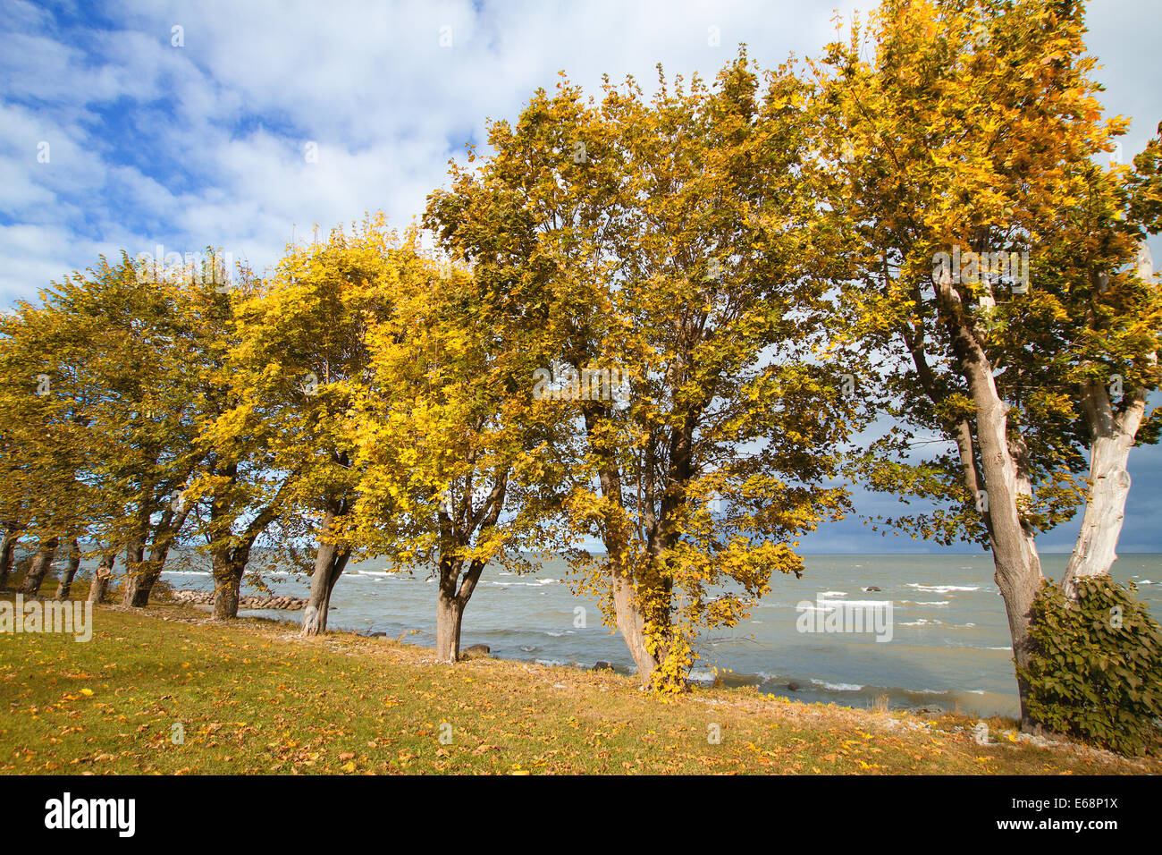 Baltic sea in background hi-res stock photography and images - Alamy
