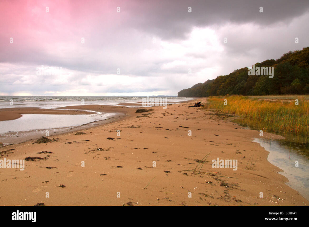 Late autumn at the sea Stock Photo - Alamy