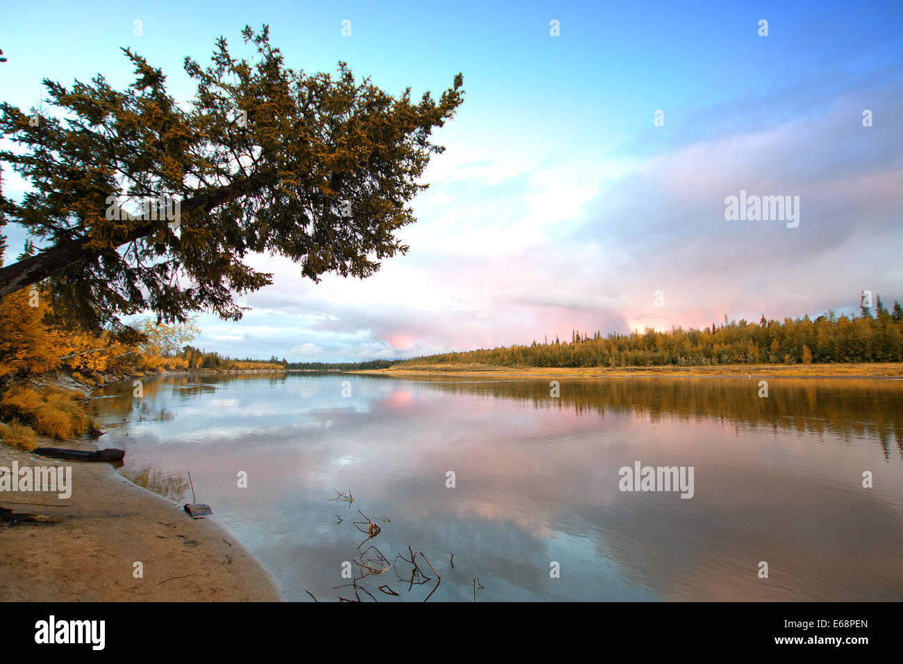 northern Siberian river in summer Stock Photo - Alamy