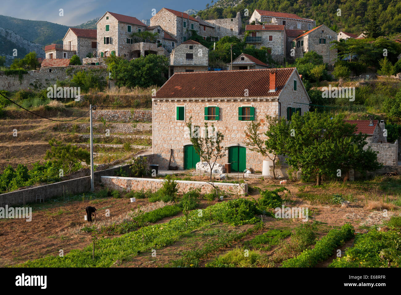 Gardening hvar island hi-res stock photography and images - Alamy