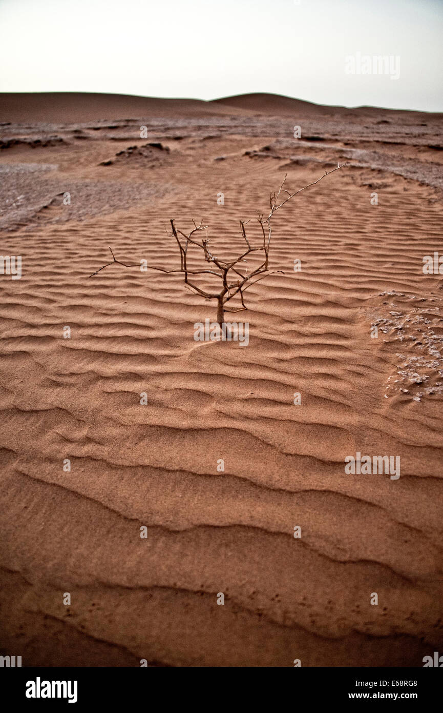 Desertification sahel hi-res stock photography and images - Alamy