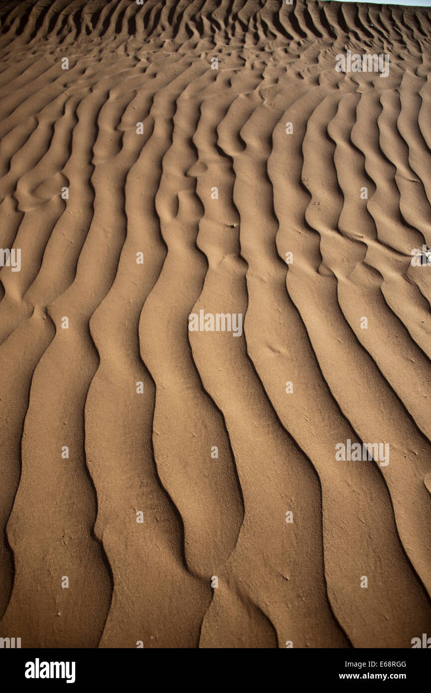 Desertification sahara desert hi-res stock photography and images - Alamy