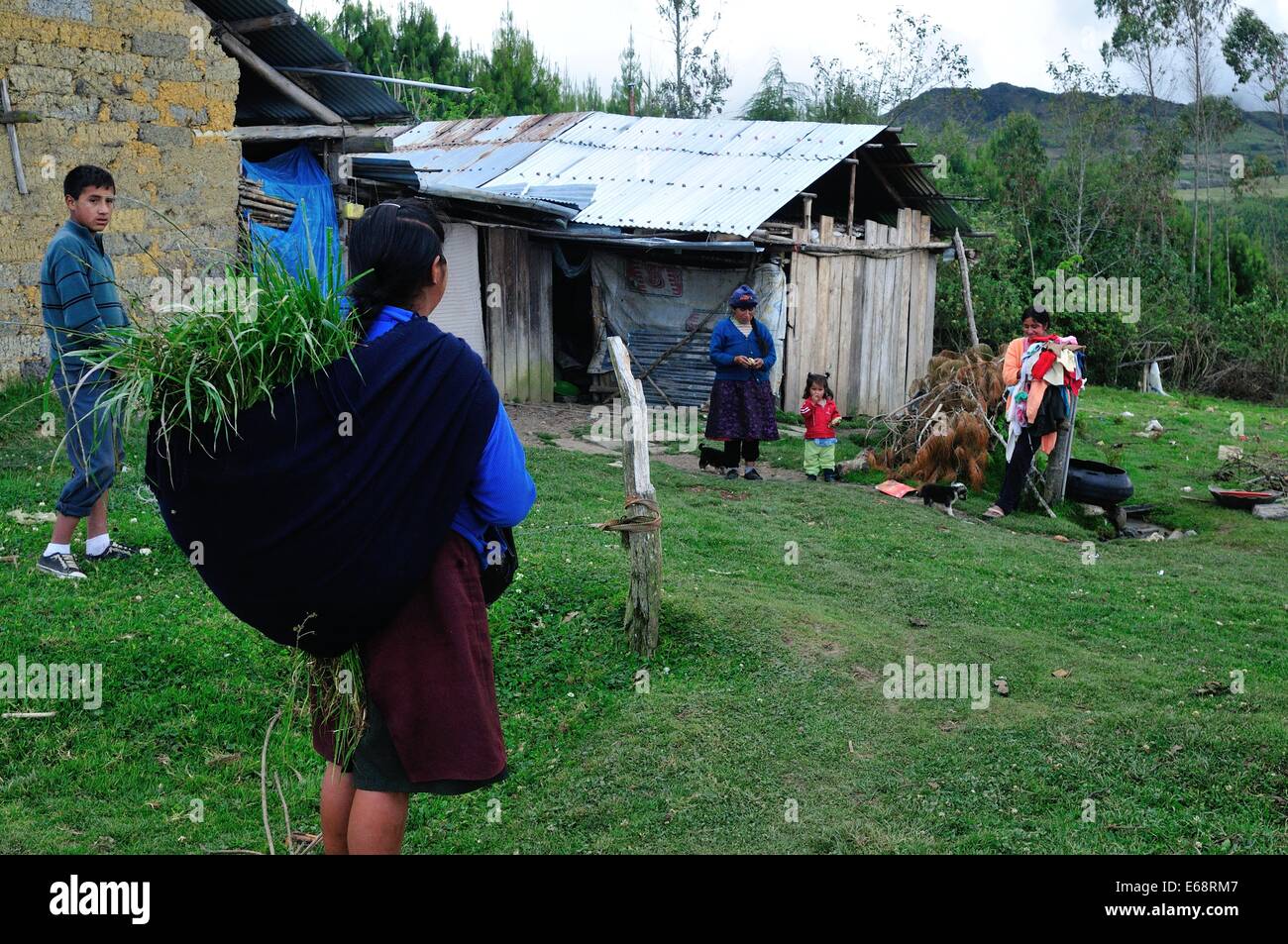 Farm in Cruzpata - CHACHAPOYAS . Department of Amazonas .PERU Stock ...
