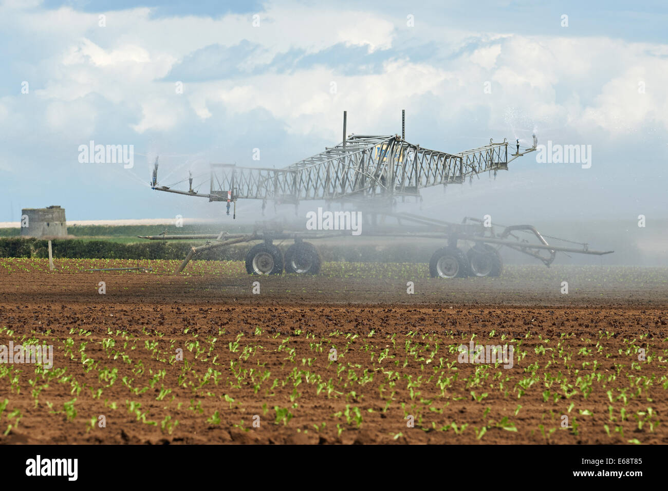 Briggs self-propelled wheeled irrigation system watering newly planted ...