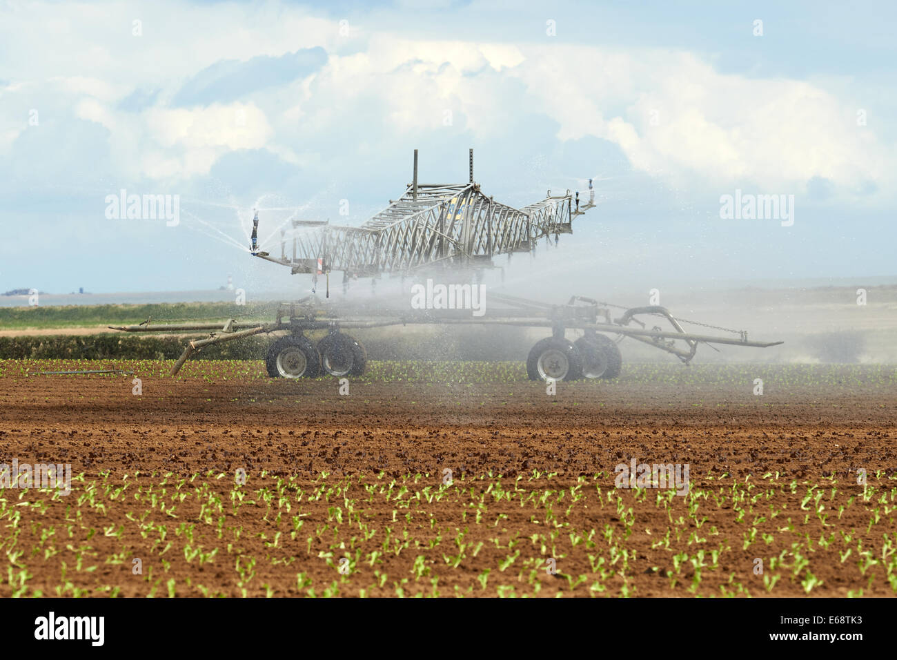 Briggs self-propelled wheeled irrigation system watering newly planted ...