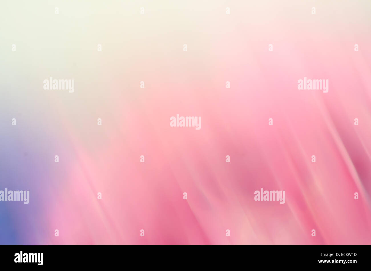 Abstract pink color background motion hi-res stock photography and ...