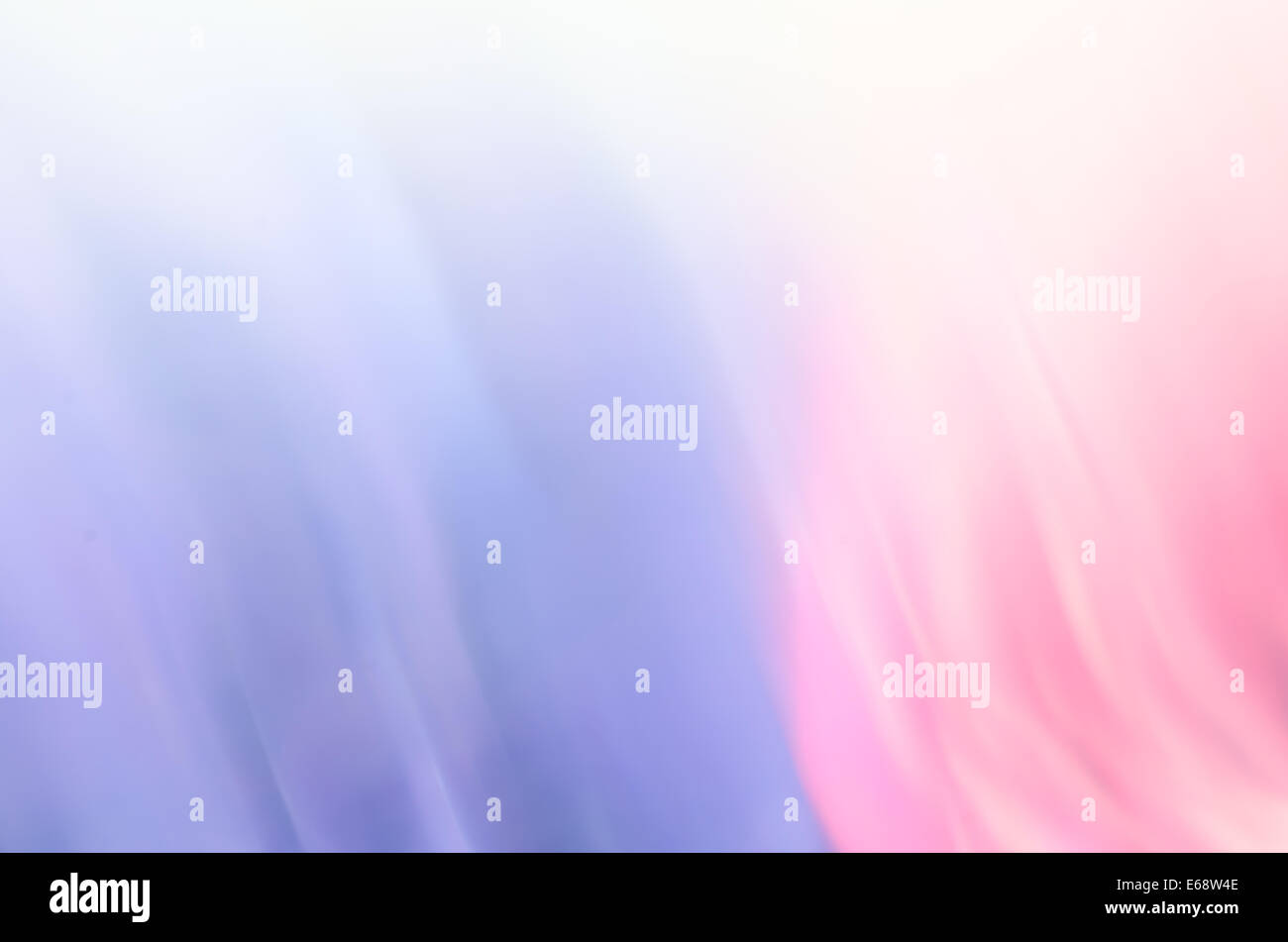 Abstract pink color background motion hi-res stock photography and ...