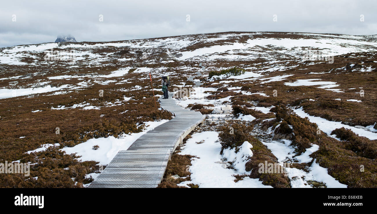 Overland track, Tasmania, Australia Stock Photo - Alamy