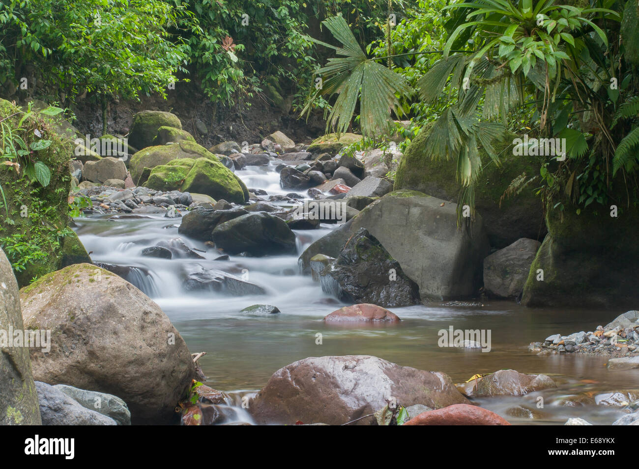 Bosque seco panama hi-res stock photography and images - Alamy