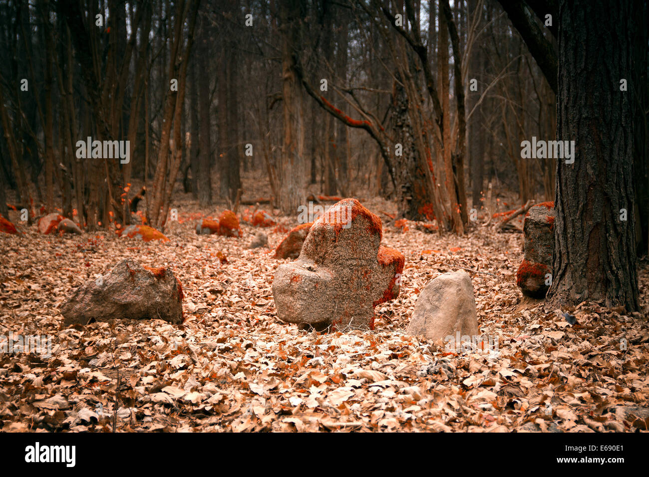 very old cemetery Stock Photo - Alamy