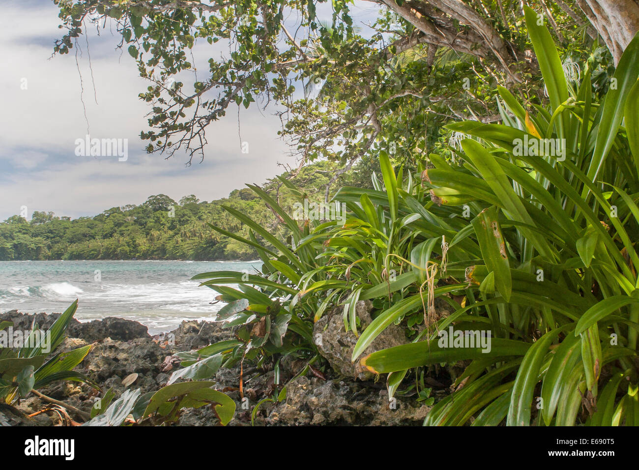 A tropical beach in the Gandoca-Manzanillo National Wildlife Refuge ...