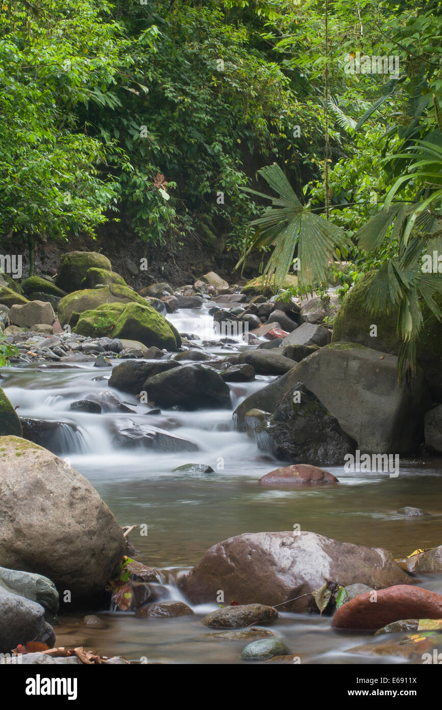 Bosque seco panama hi-res stock photography and images - Alamy