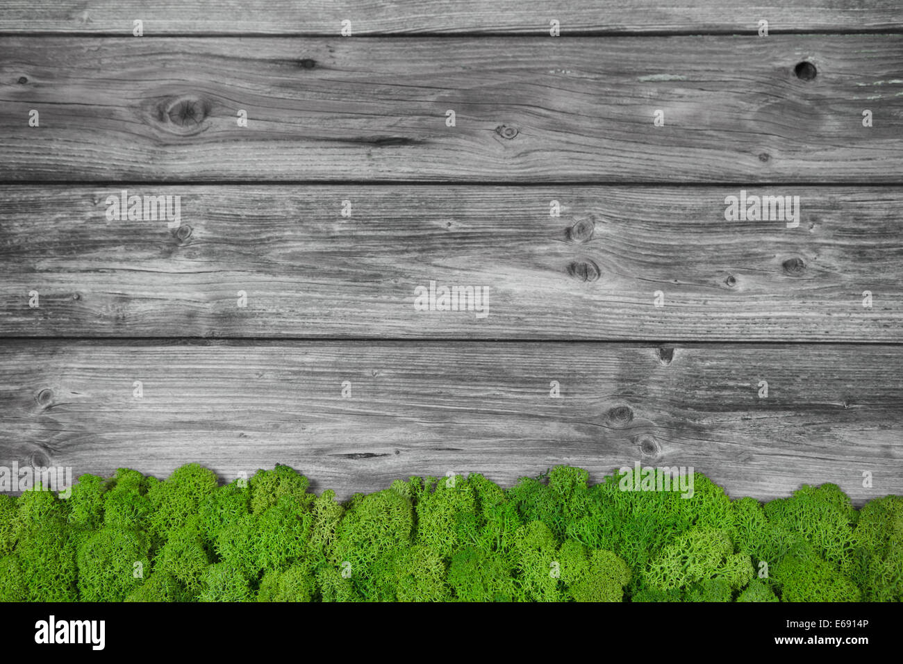 Grey rustic wooden background with green moos Stock Photo - Alamy