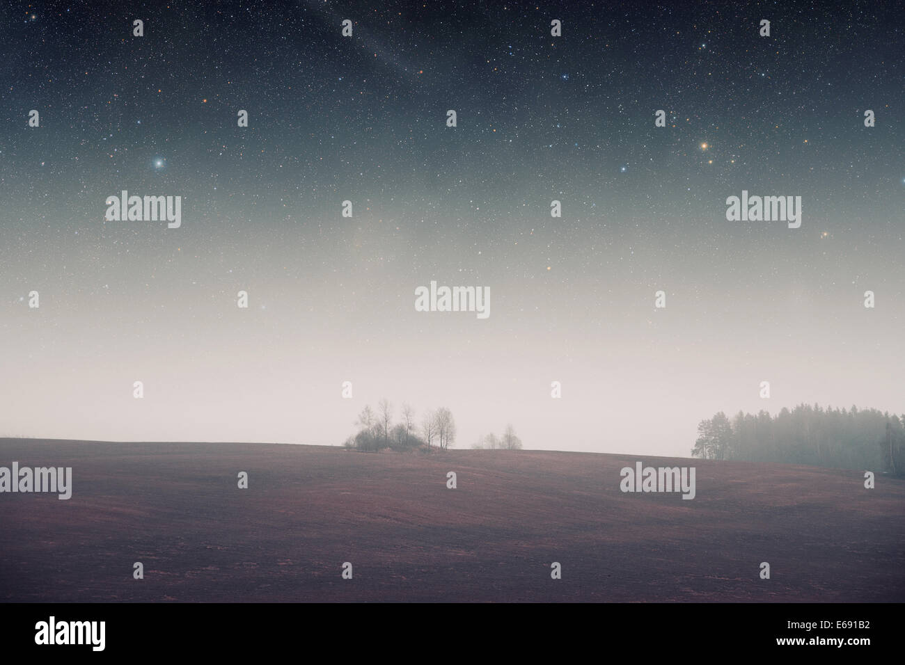 night field forest . Elements of this image furnished by NASA Stock ...