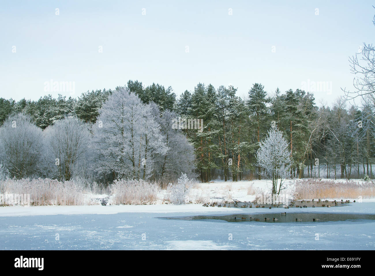winter river at night Stock Photo - Alamy