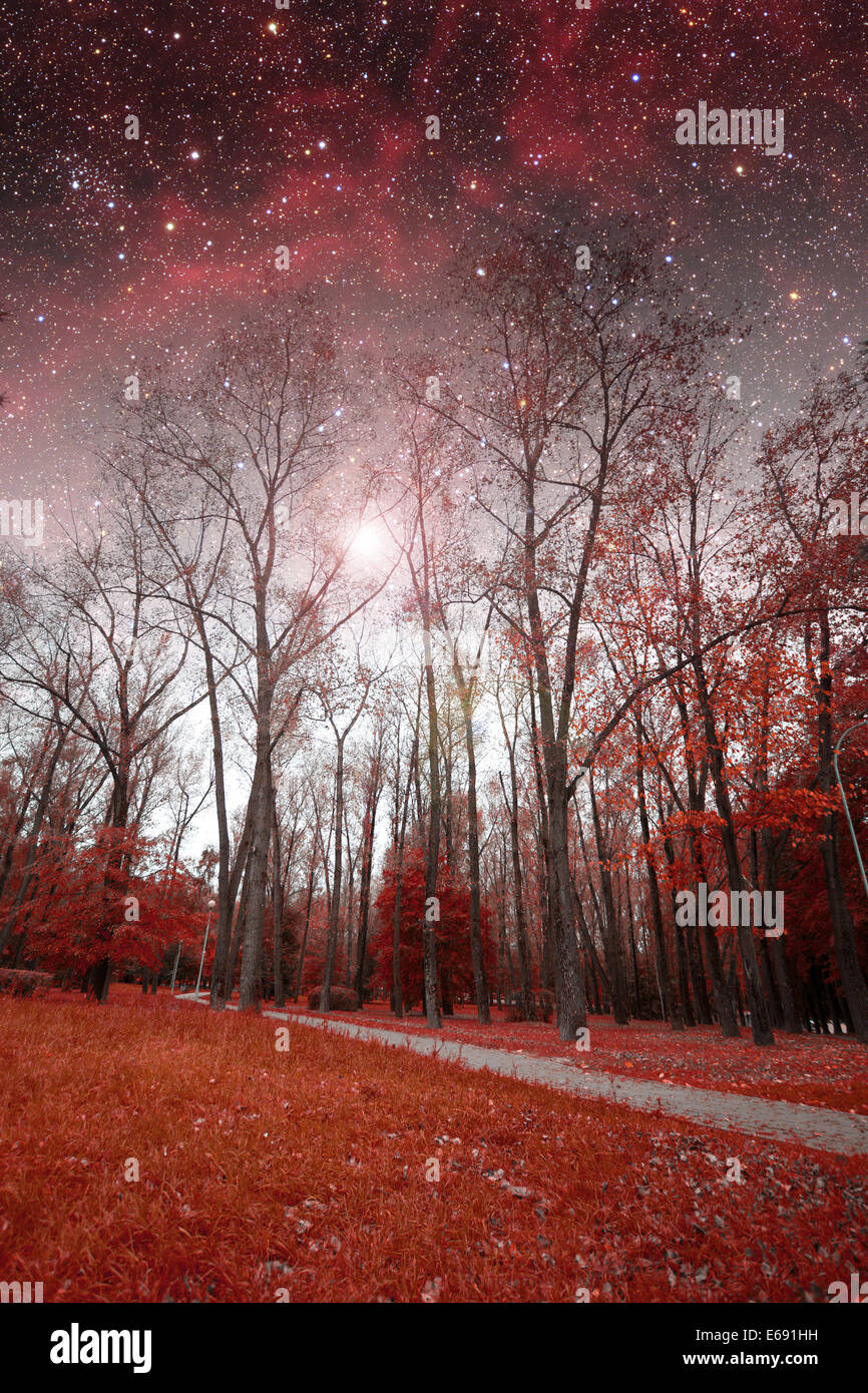 spring night infrared photography. Elements of this image furnished by ...