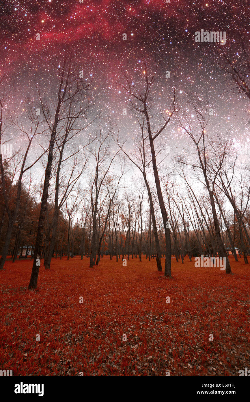 spring night infrared photography. Elements of this image furnished by ...