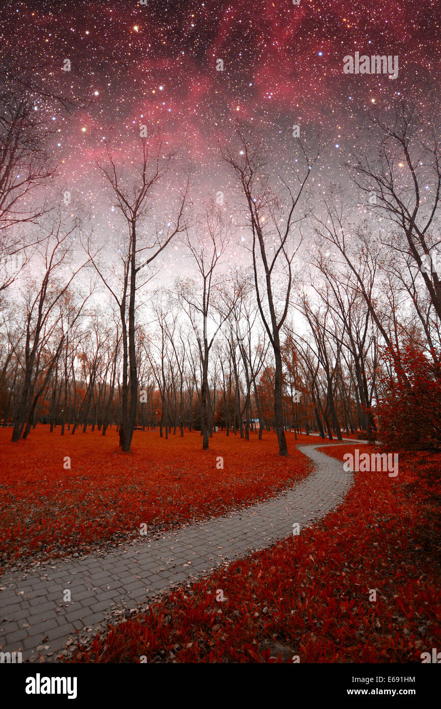 Infrared Night Photography