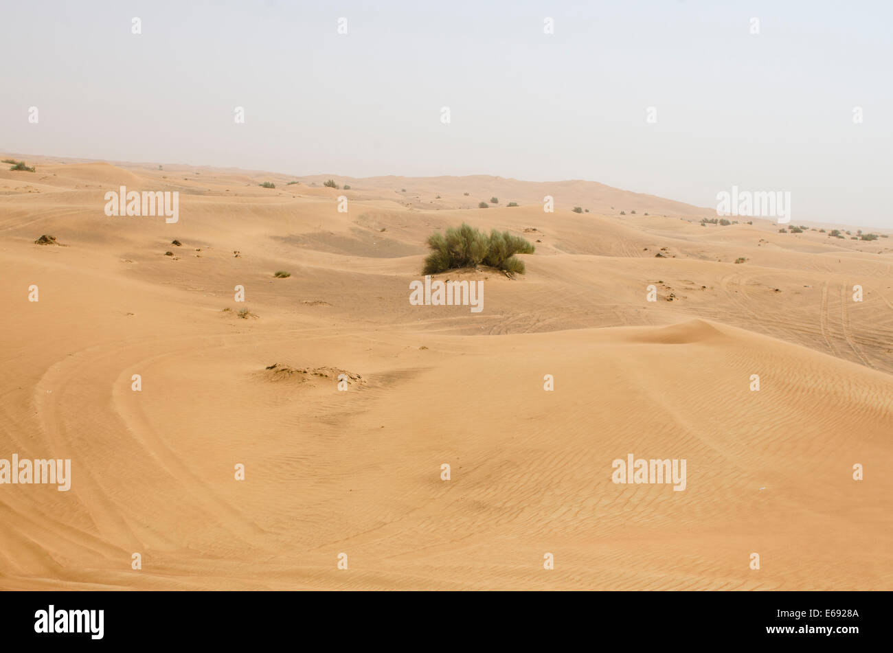 Desert outside Dubai, United Arab Emirates (UAE Stock Photo - Alamy