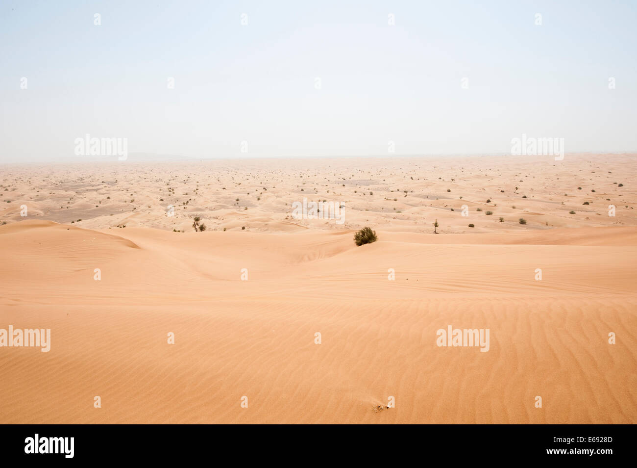 Desert outside Dubai, United Arab Emirates (UAE Stock Photo - Alamy
