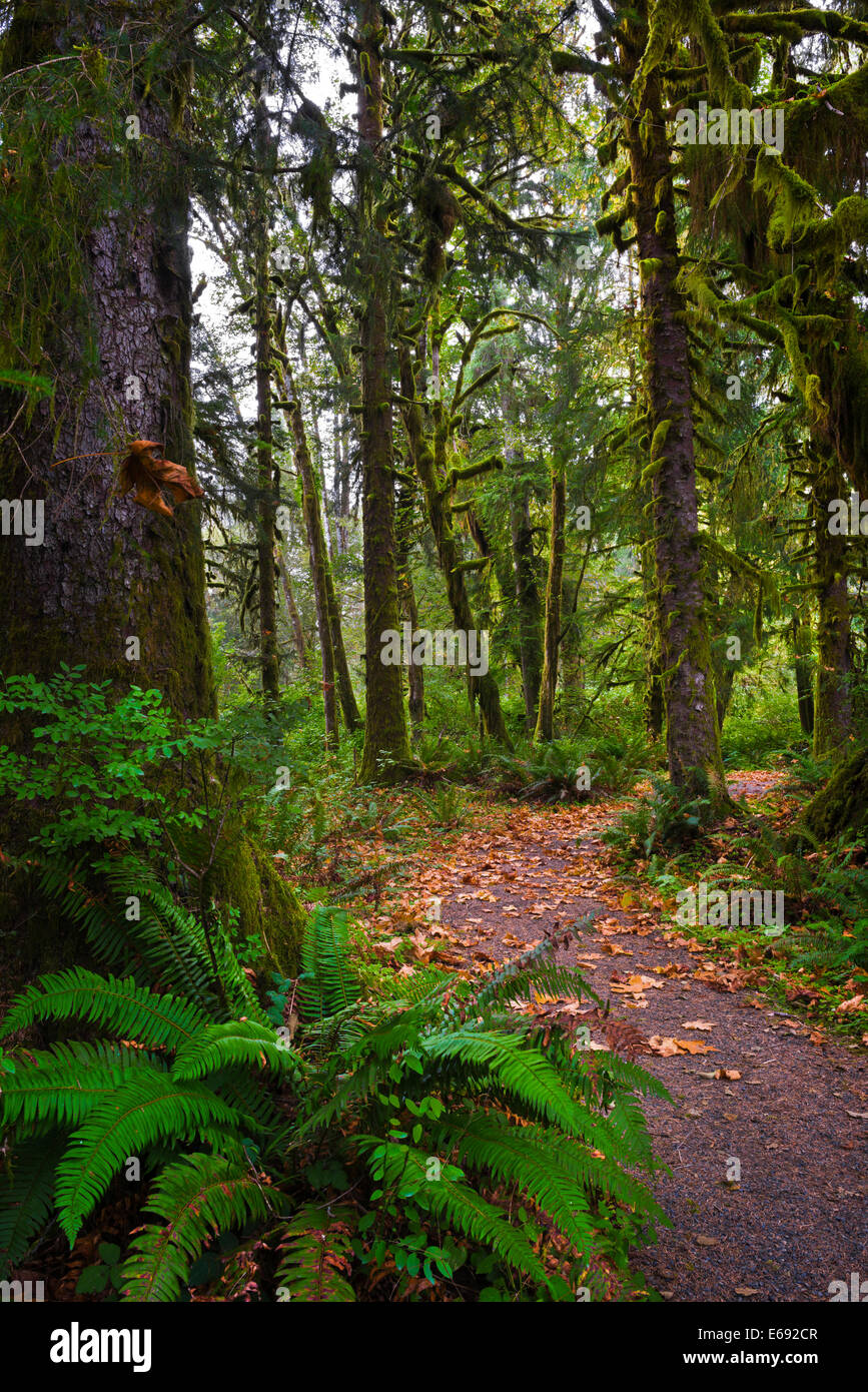 Peaceful trail hi-res stock photography and images - Alamy
