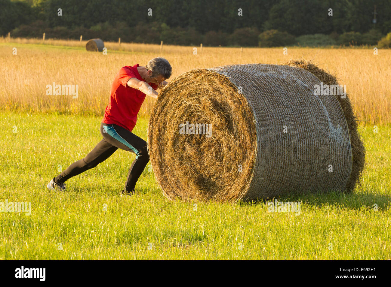Make hay while the sun shines hi-res stock photography and images - Alamy