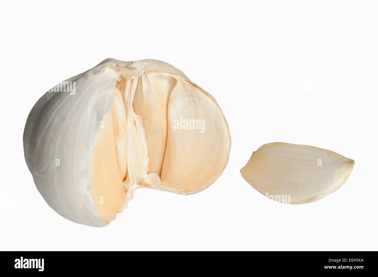 Allium sativum garlic clove Cut Out Stock Images & Pictures - Alamy