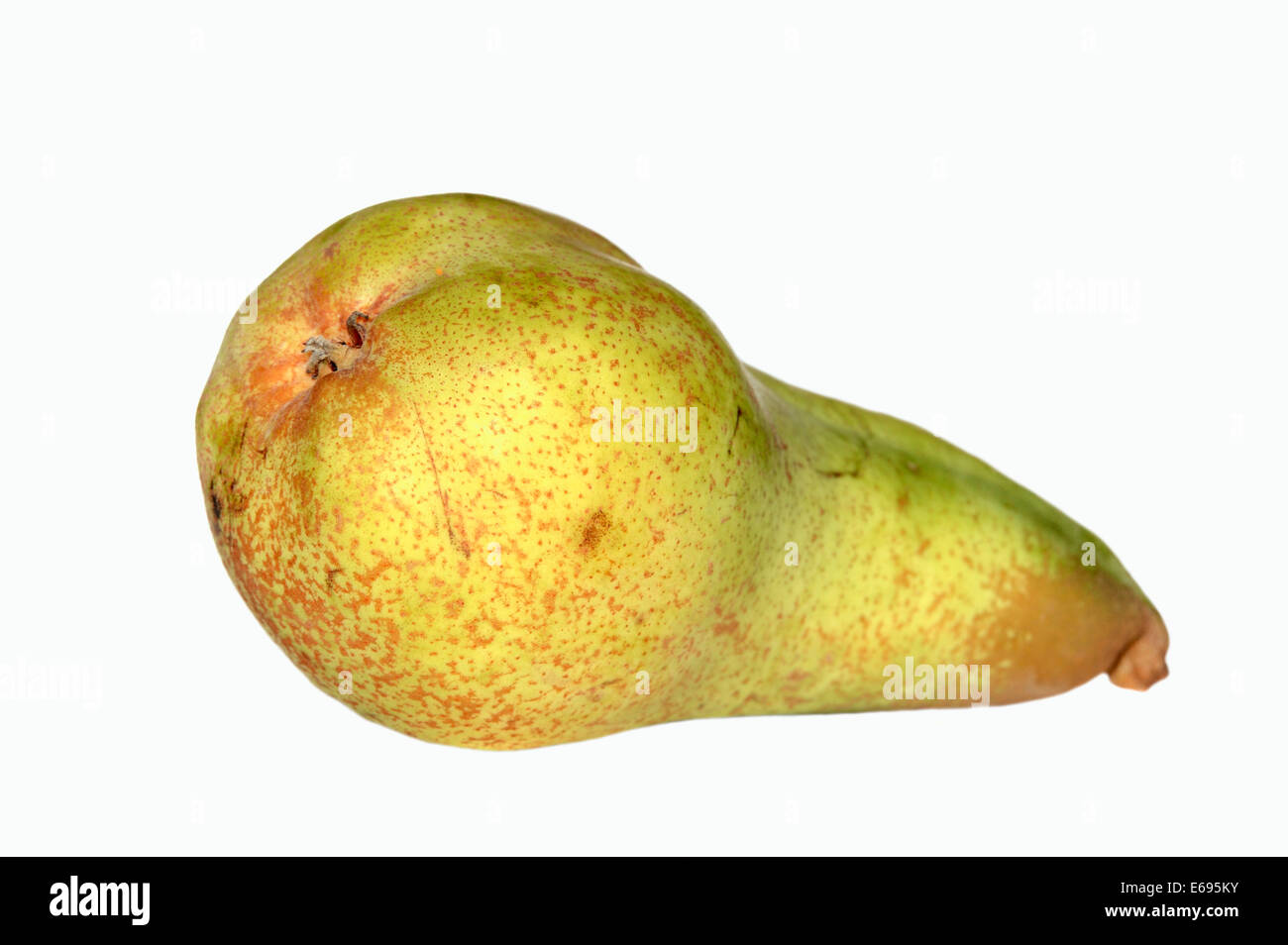 Pear (Pyrus communis), Williams Christ variety Stock Photo - Alamy
