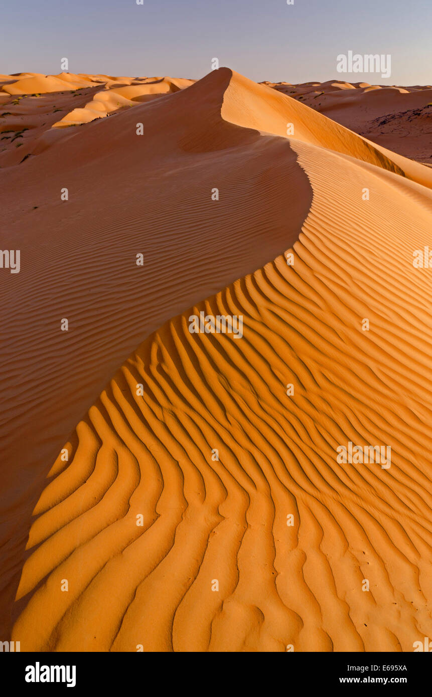 The sand dunes of the Wahiba Sands desert, also known as Ramlat al ...