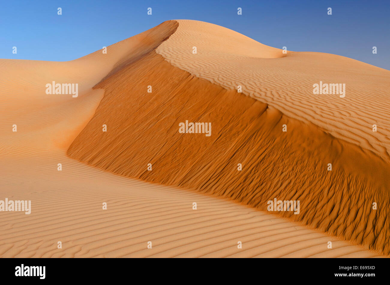 The sand dunes of the Wahiba Sands desert, also known as Ramlat al ...
