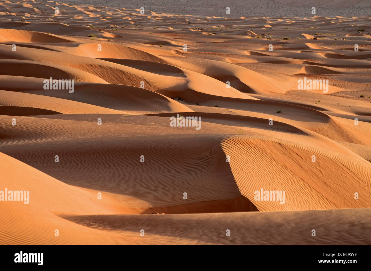 The sand dunes of the Wahiba Sands desert, also known as Ramlat al ...