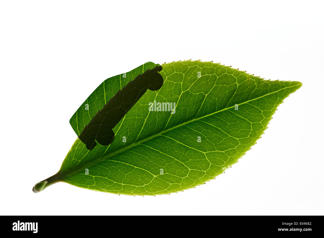 Car composite Cut Out Stock Images & Pictures - Alamy
