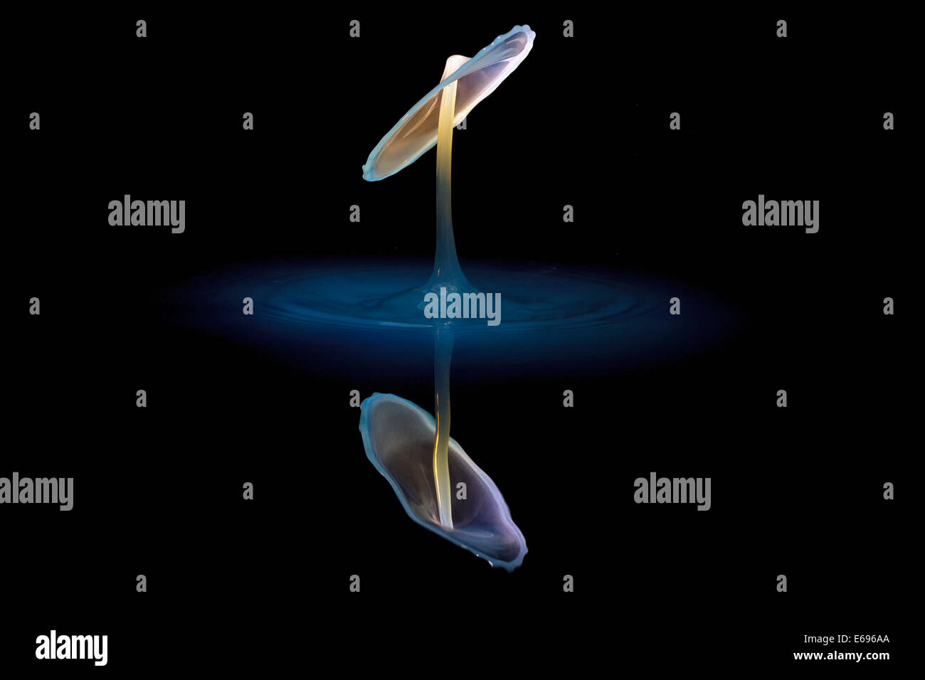 Three drops collide, the first forms a column, the second produces the ...