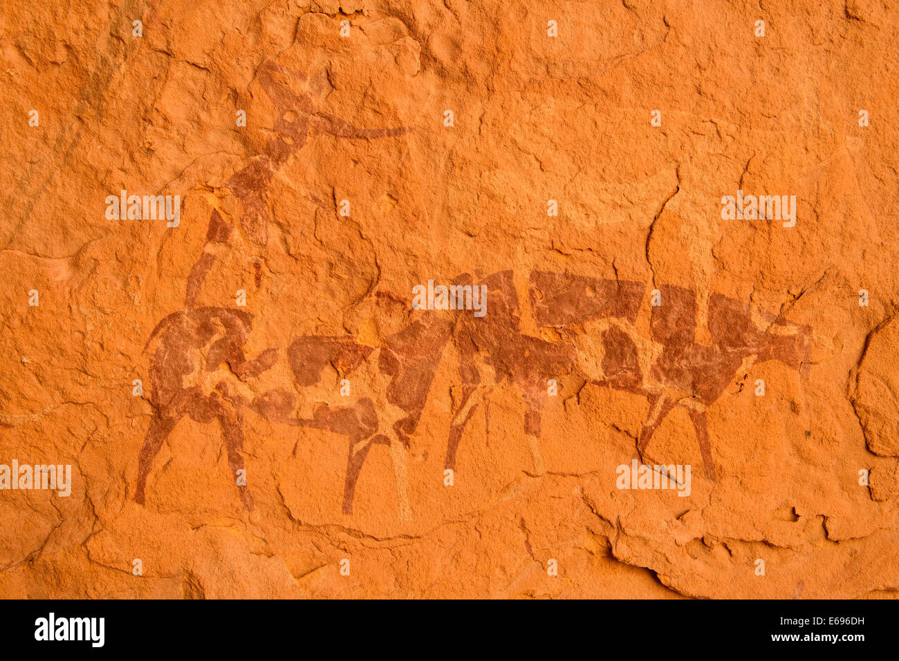 Neolithic rock art, rock painting of two cows or bulls, Bovidian period ...