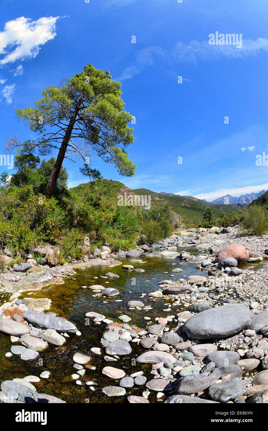 Granite rocks on the upper reaches of the Fango River, Fango Valley ...