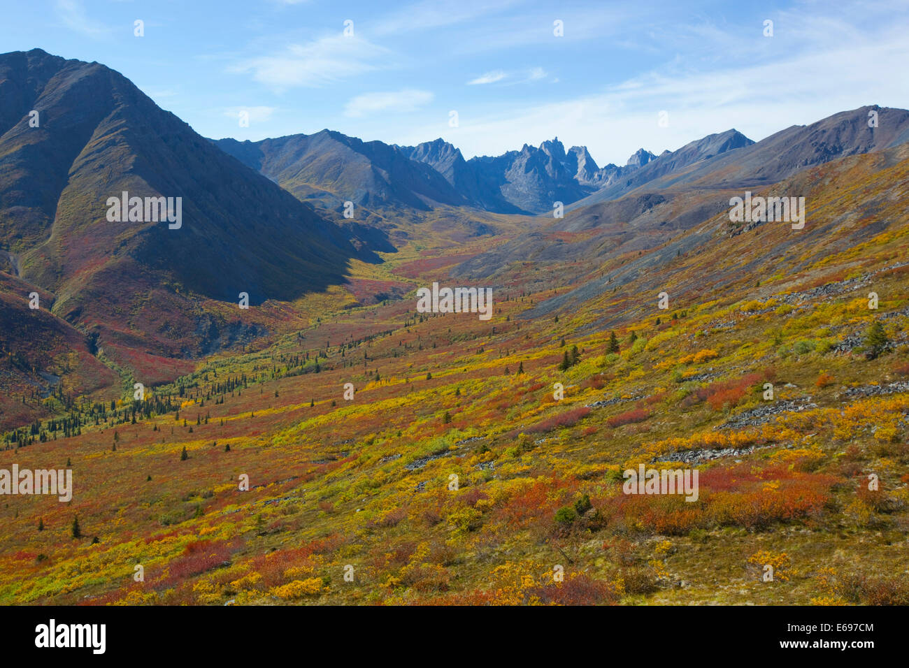 Grizzly Valley, Mount Monolith behind, arctic or subalpine tundra ...