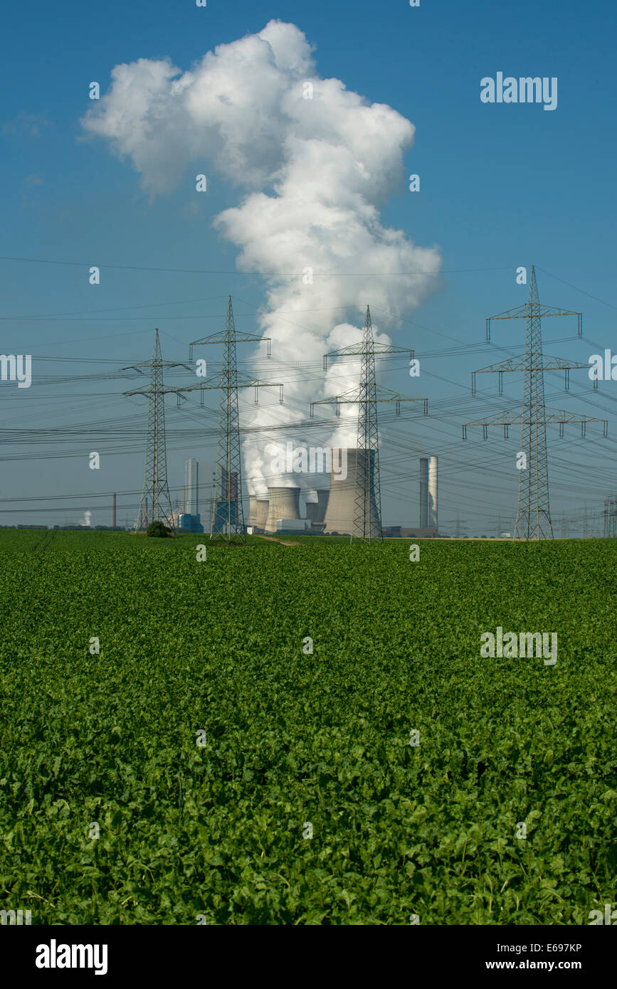 High-voltage power lines in front of the lignite power plant of ...
